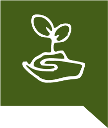 Welcome to Green Team Contracting